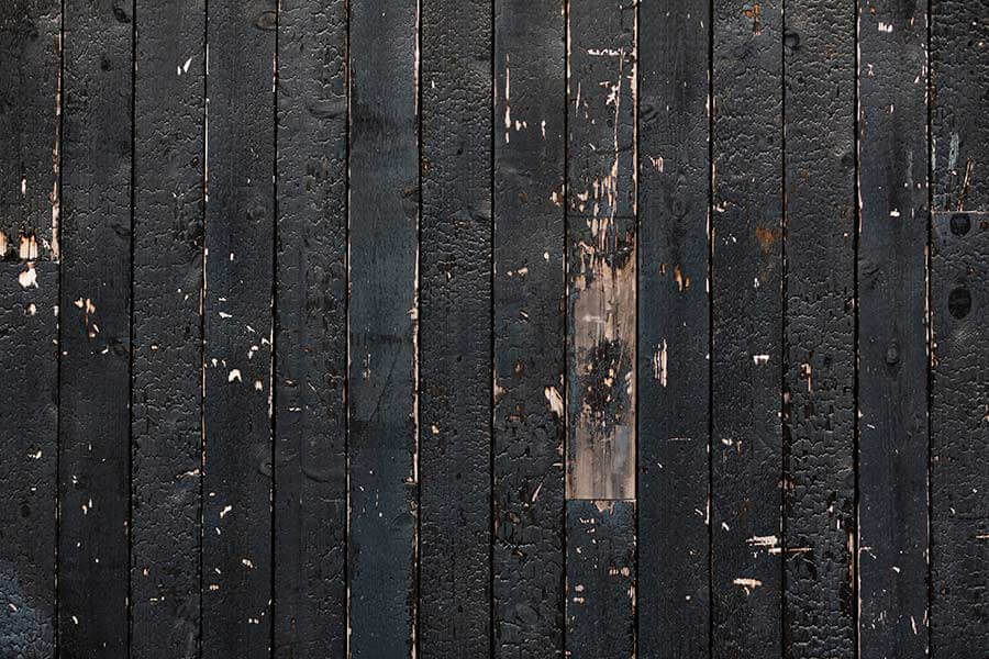 🌳 100+ Free Wood Textures, Cozy and Versatile - The Designest