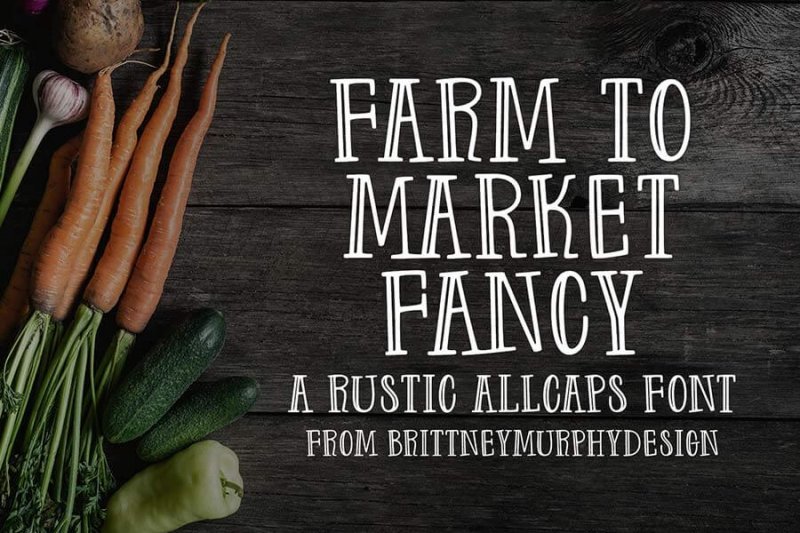 49 Best Hand-lettering Fonts with a Personal Touch - The Designest