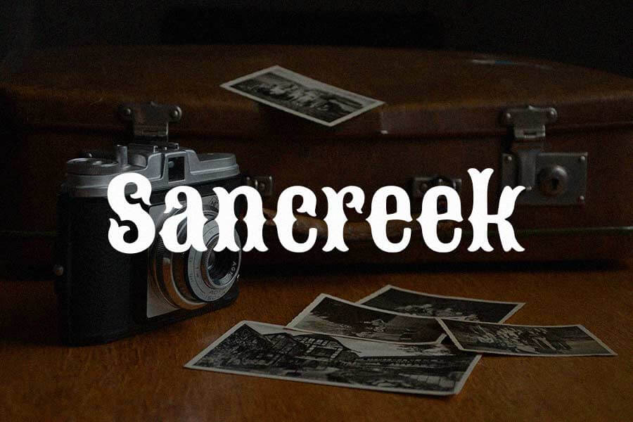 34 Rustic Fonts to Complete Your Type Toolbox - The Designest