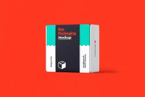 50+ Best Box Mockup Templates📦(Free & Paid) - The Designest