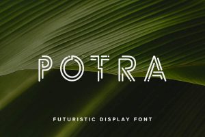 37 T-Shirt Fonts For a Brand New Tee - The Designest