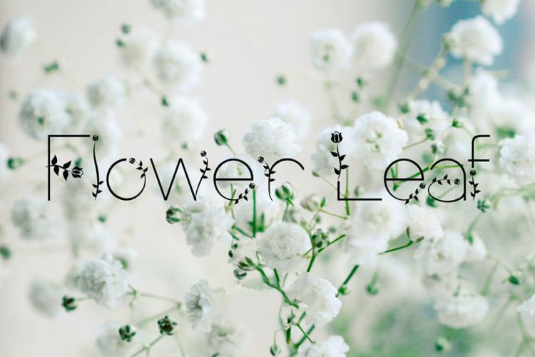 50+ Best Flower Fonts?Stunning Floral Fonts for Your Designs