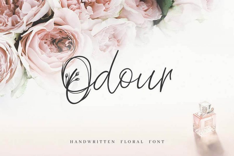 36 Floral Fonts for Perfect Botanical Compositions - The Designest