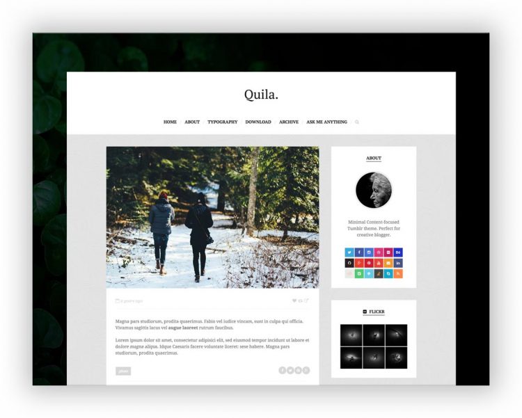 40+ Best Tumblr Themes For Writers — Free & Paid — The Designest