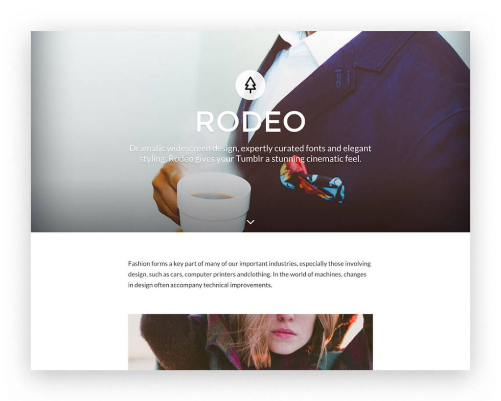 40+ Best Tumblr Themes For Writers — Free & Paid — The Designest