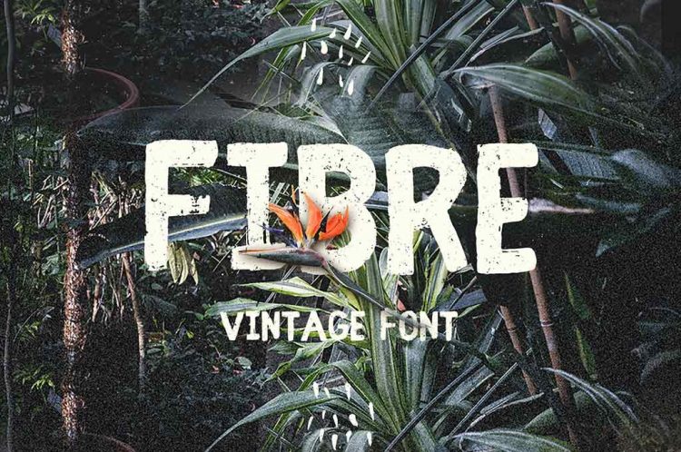35+ Best Grunge Fonts (Free & Paid) - The Designest