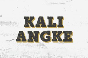 35+ Best Grunge Fonts (Free & Paid) - The Designest