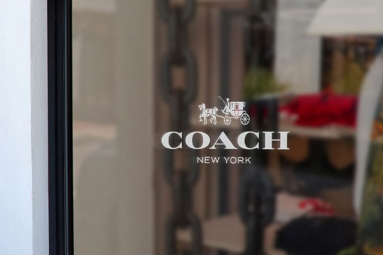 Freebie: Window Sign Logo Mockups — Download on The Designest