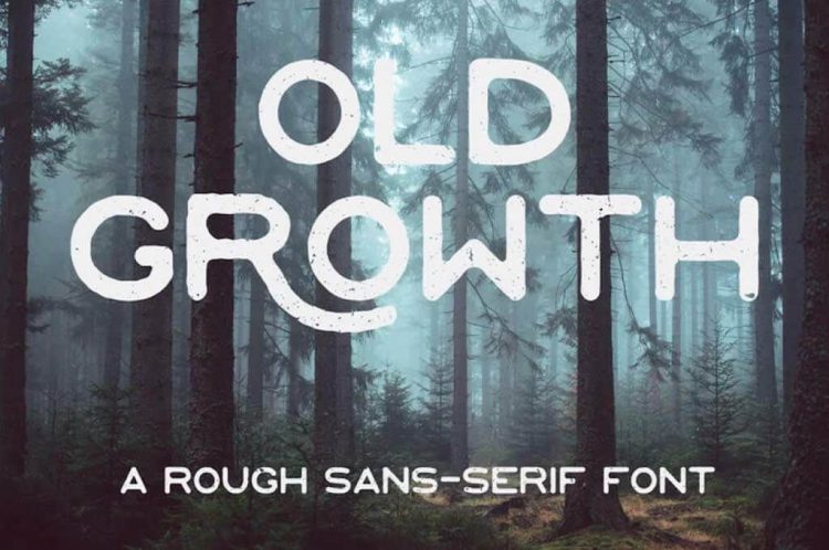 35+ Best Grunge Fonts (Free & Paid) - The Designest