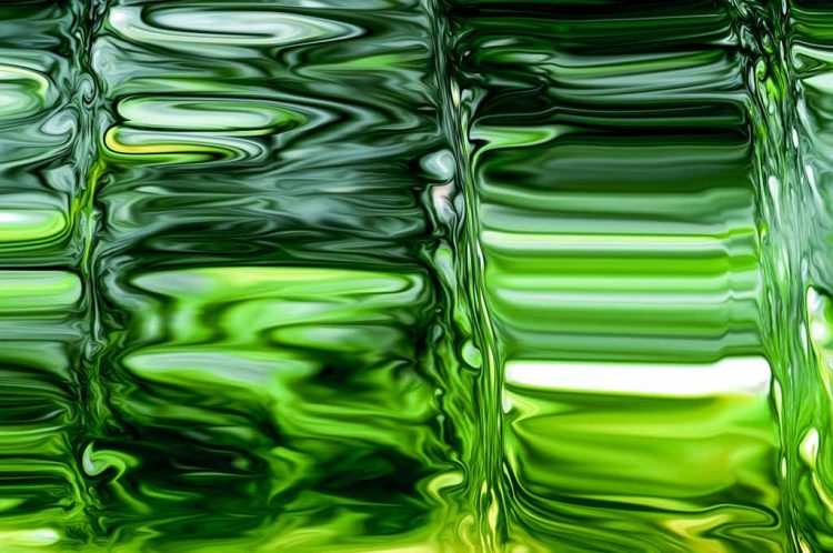 ⬜ 55+ Best Glass Textures and Backgrounds: Free & Premium — The Designest