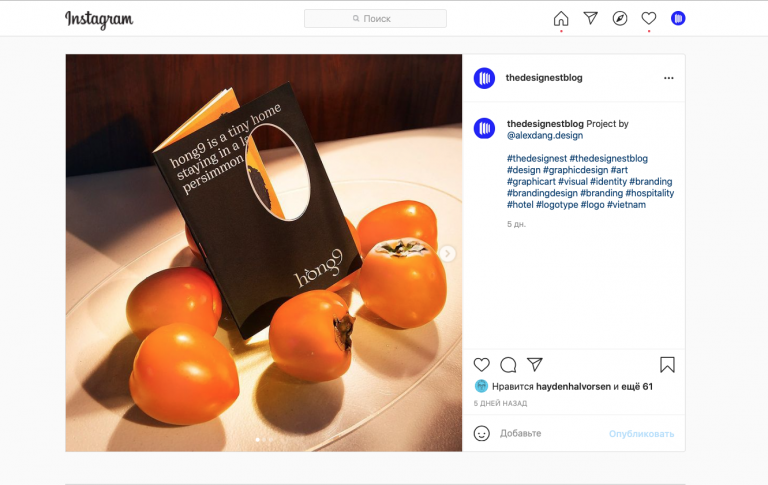 How to Download Instagram Photos: The Complete Guide — The Designest