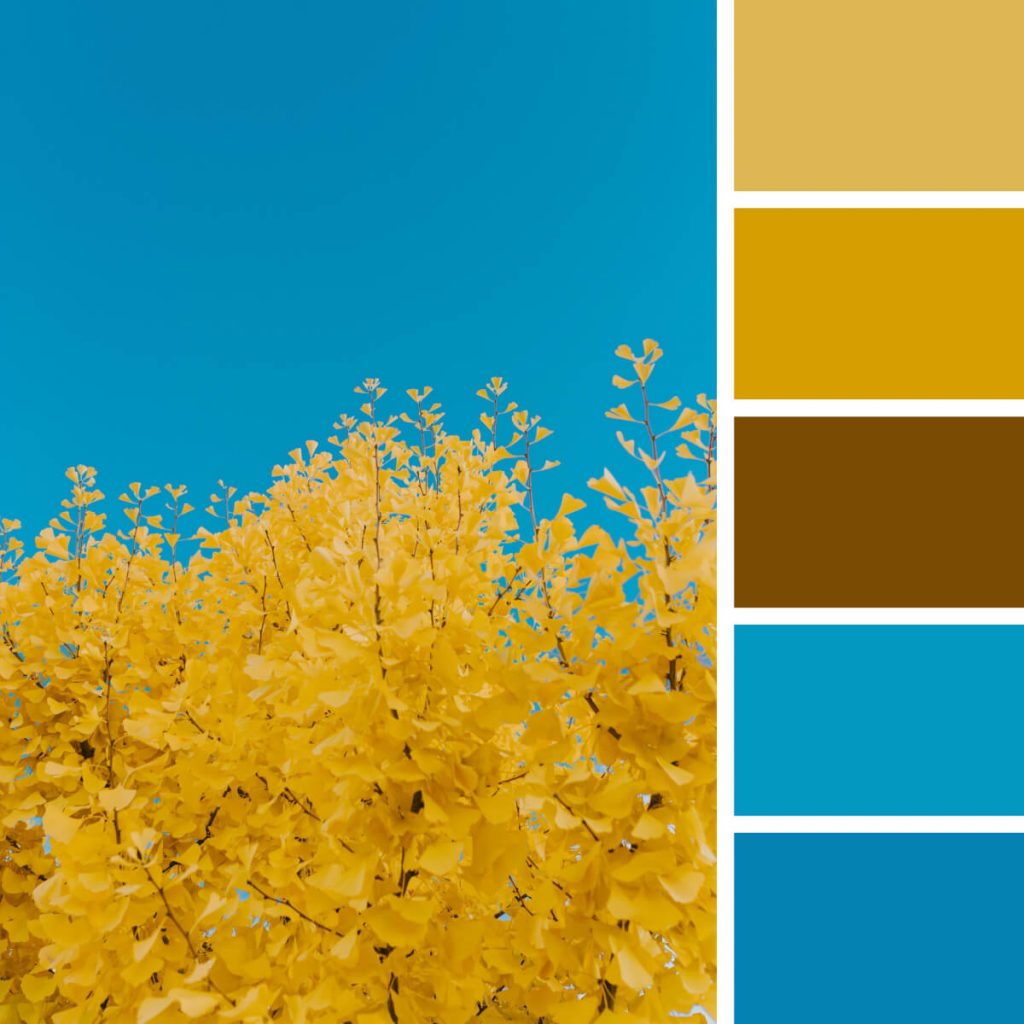 130 Eye-Catching Color Combinations For Design Enthusiasts - The Designest