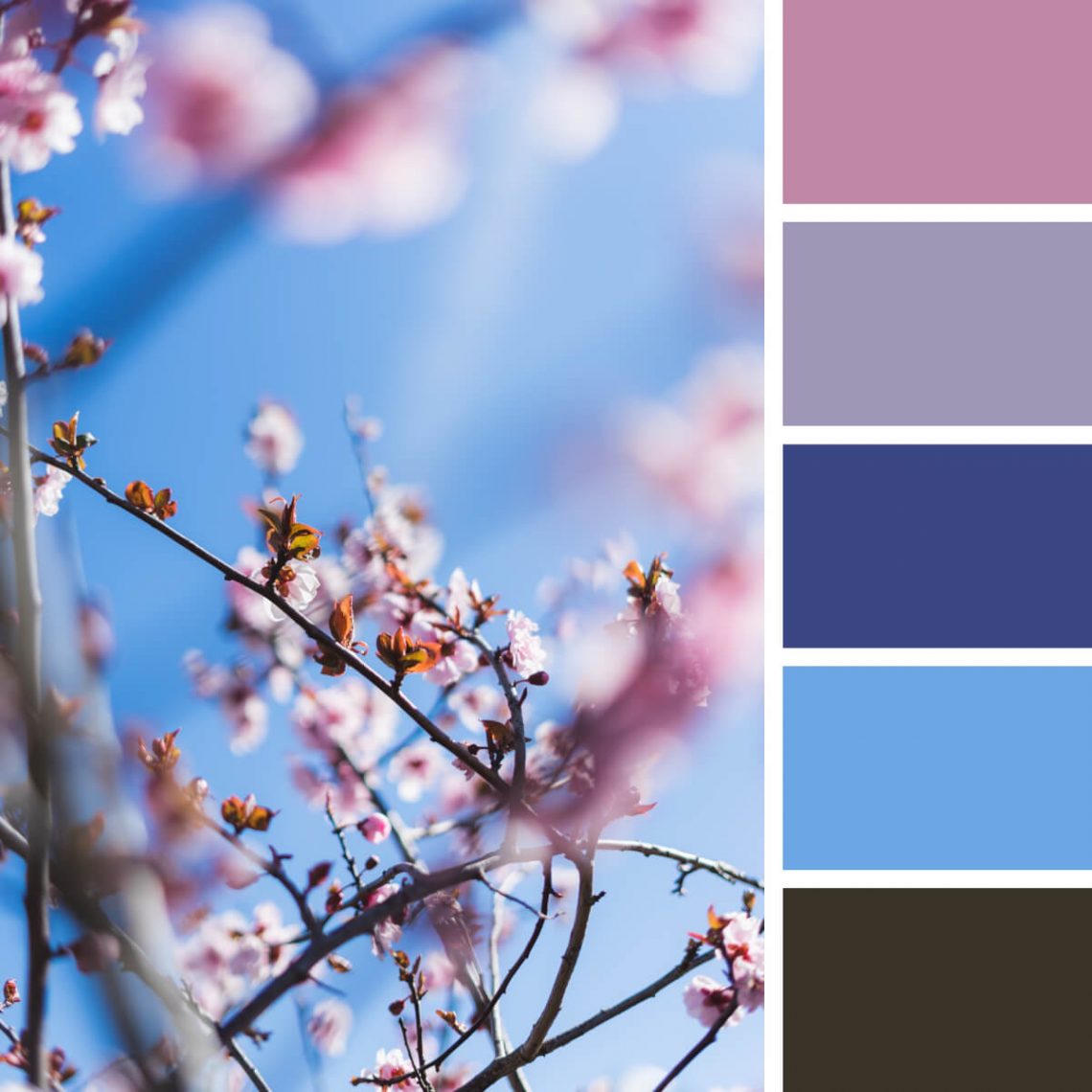 130 Eye-Catching Color Combinations For Design Enthusiasts - The Designest