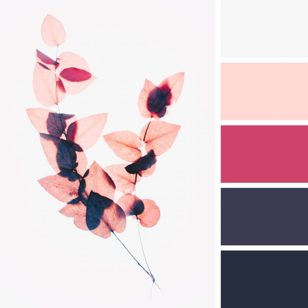 130 Eye-Catching Color Combinations For Design Enthusiasts - The Designest