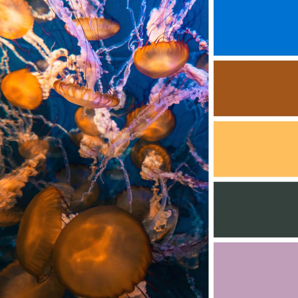 130 Eye-Catching Color Combinations For Design Enthusiasts - The Designest