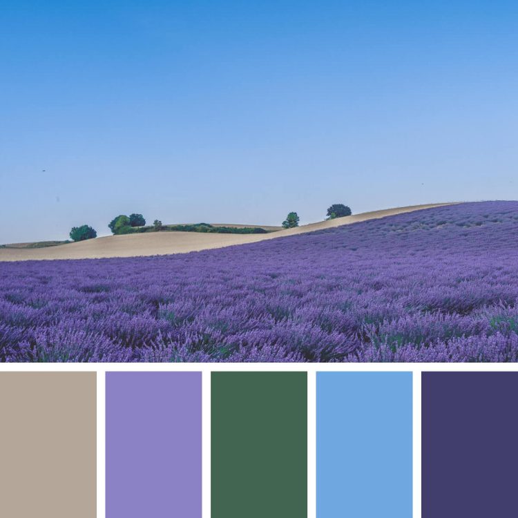 130 Eye-Catching Color Combinations For Design Enthusiasts — The Designest