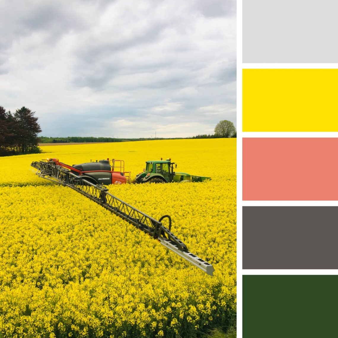 130 Eye-Catching Color Combinations For Design Enthusiasts - The Designest