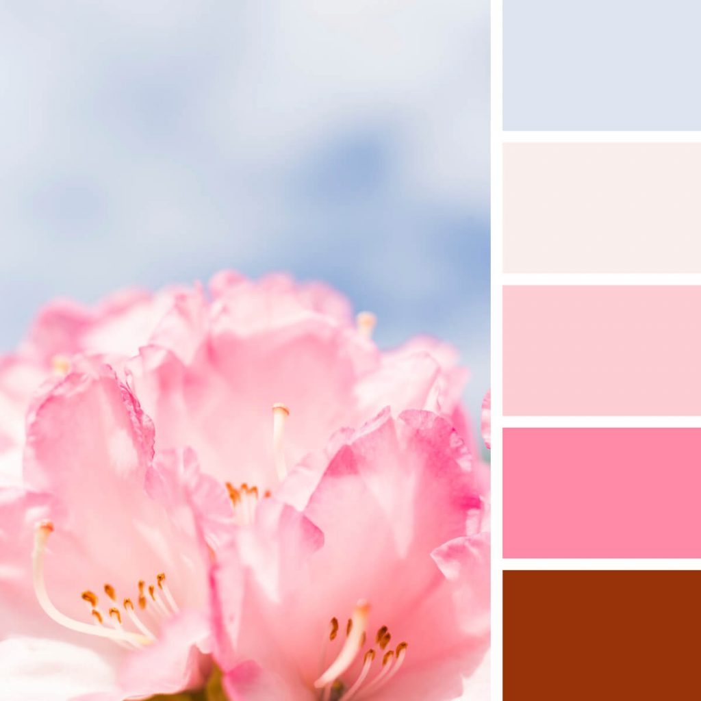 130 Eye-Catching Color Combinations For Design Enthusiasts - The Designest