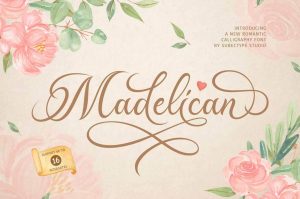 45+ Best Calligraphy Fonts (Free & Paid) - The Designest