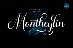 45+ Best Calligraphy Fonts (Free & Paid) - The Designest