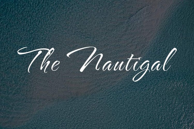 45+ Best Calligraphy Fonts (Free & Paid) - The Designest