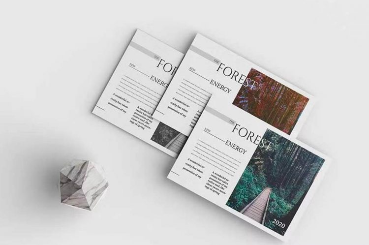 50+ Postcard Mockup Templates (Free & Paid) — The Designest