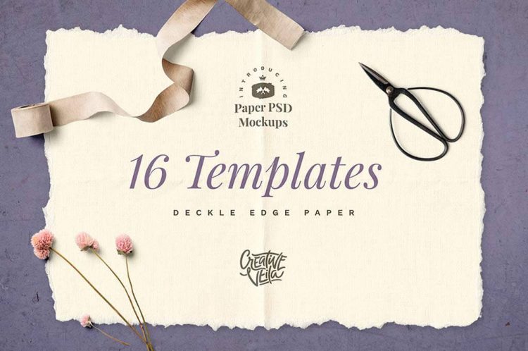 35+ Best Ripped Paper Texture Images - Download Free on The Designest