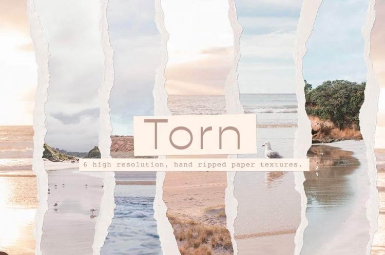 35+ Best Ripped Paper Texture Images - Download Free on The Designest