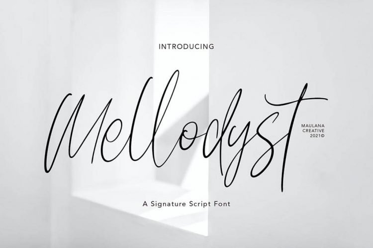 40+ Best Signature Fonts (Free & Paid) - The Designest