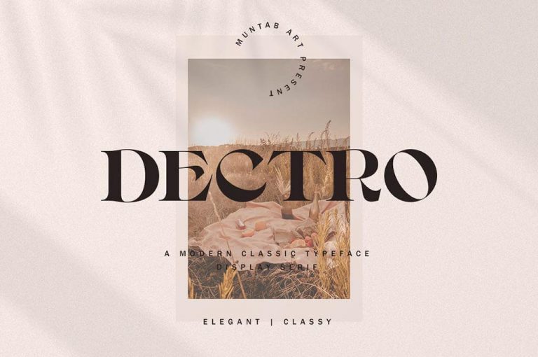 Top 30 Best Display Fonts (Free & Paid) - The Designest