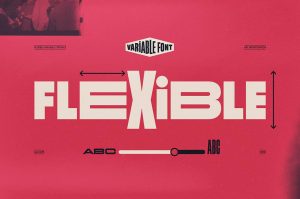 Top 30 Best Display Fonts (Free & Paid) - The Designest