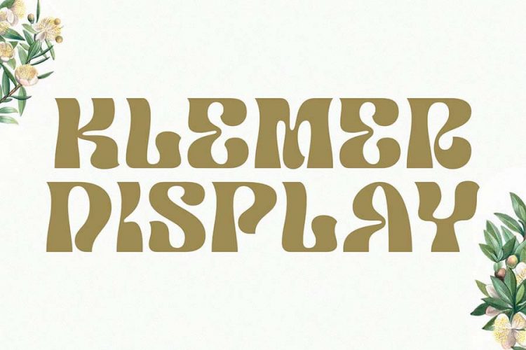 Top 30 Best Display Fonts (Free & Paid) - The Designest