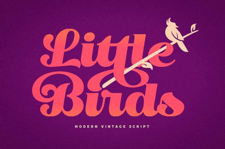 Top 30 Best Display Fonts (Free & Paid) - The Designest