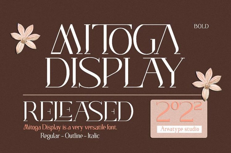 Top 30 Best Display Fonts (Free & Paid) - The Designest