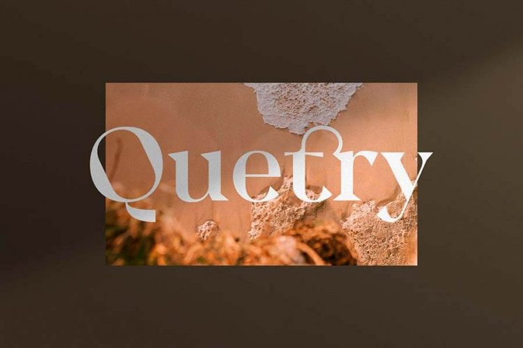 Top 30 Best Display Fonts (Free & Paid) - The Designest