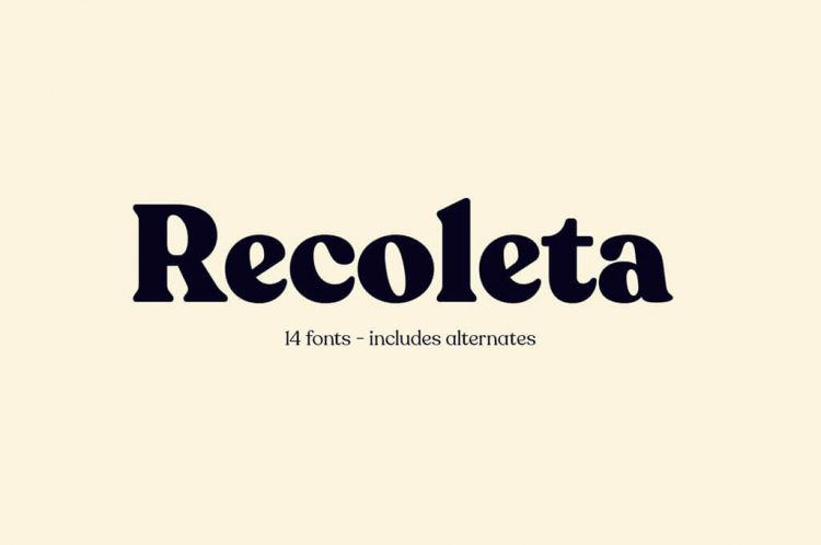 Top 30 Best Display Fonts (Free & Paid) - The Designest