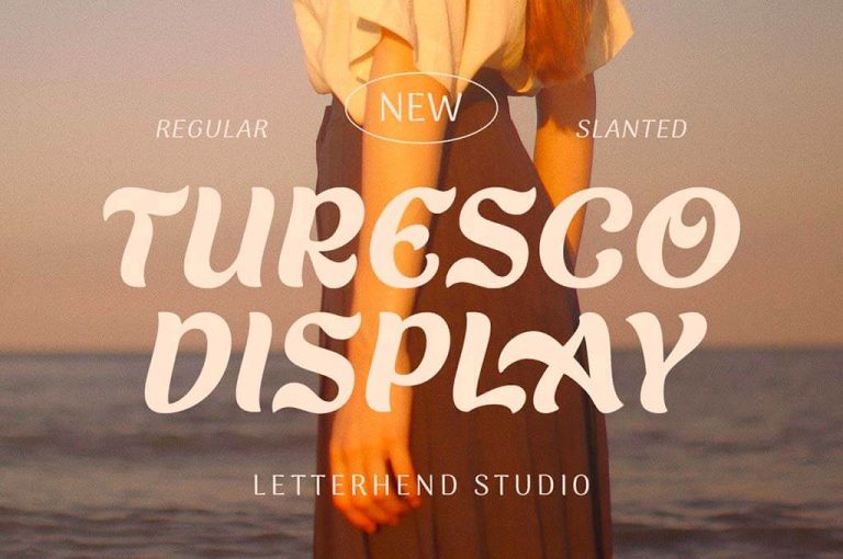 Top 30 Best Display Fonts (Free & Paid) - The Designest