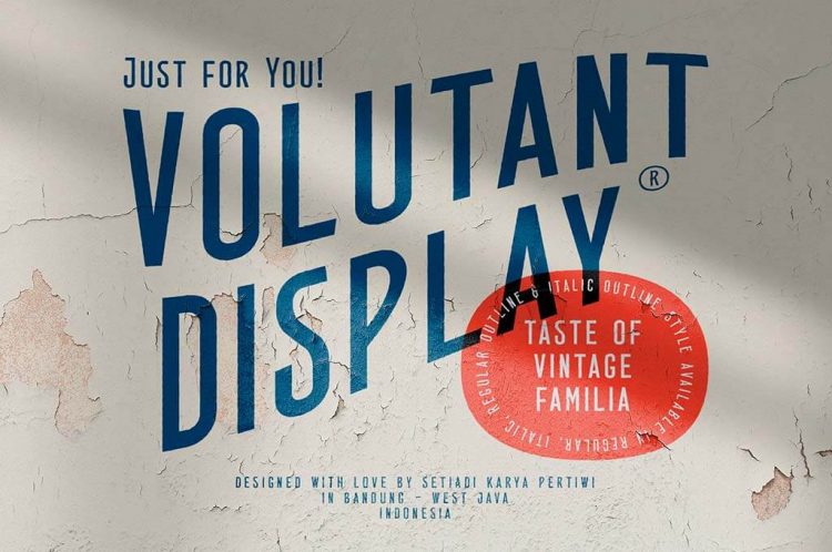 Top 30 Best Display Fonts (Free & Paid) - The Designest