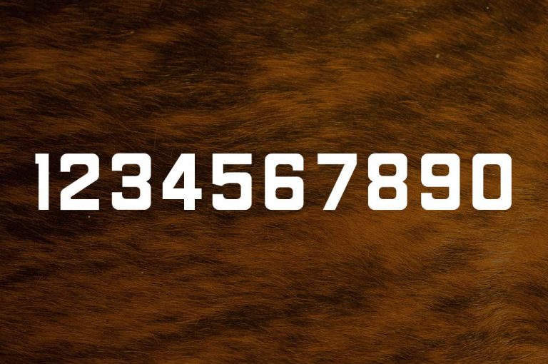 35+ Best Number Fonts?(Free & Paid) — The Designest