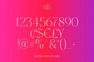 35+ Best Number Fonts?(Free & Paid) — The Designest