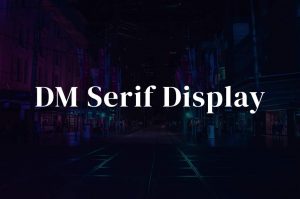 25+ Best Serif Fonts (Free & Paid) - The Designest