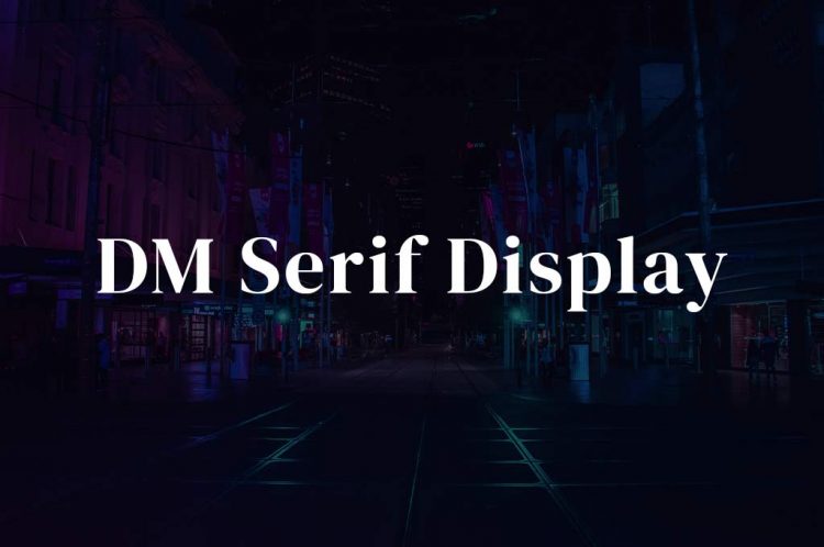 25+ Best Serif Fonts (Free & Paid) - The Designest