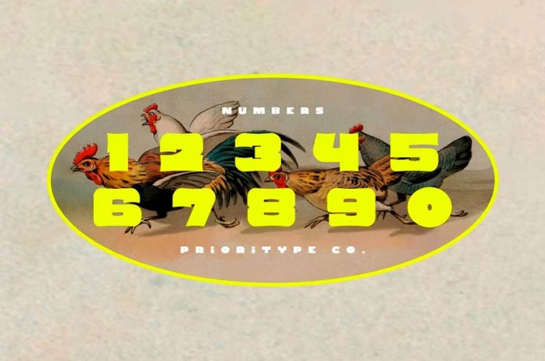 35+ Best Number Fonts?(Free & Paid) — The Designest