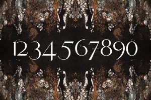 35+ Best Number Fonts?(Free & Paid) — The Designest