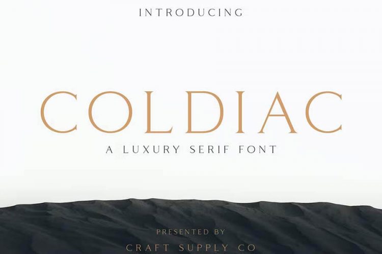 25+ Best Serif Fonts (Free & Paid) - The Designest