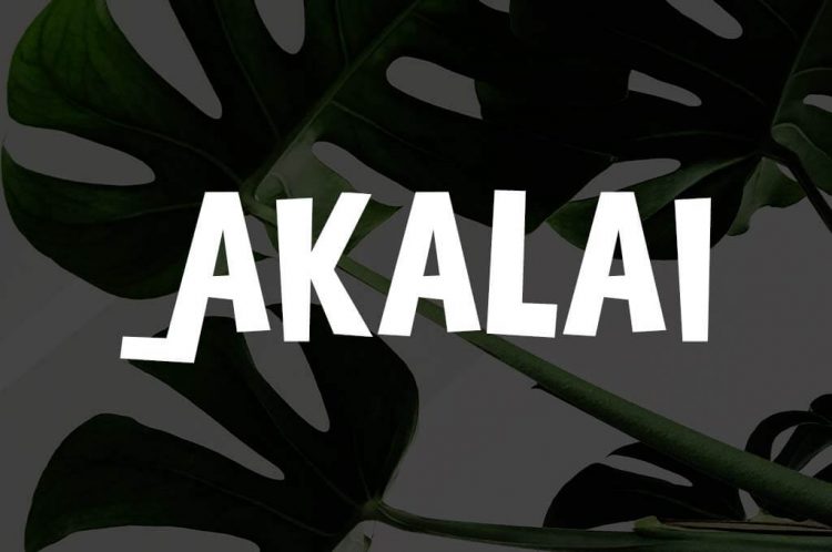 30+ Best Hawaii Fonts ? For Vacation Designs (Free & Paid) - The Designest