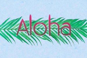 30+ Best Hawaii Fonts ? For Vacation Designs (Free & Paid) - The Designest