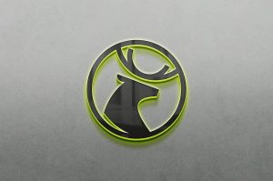 25+ Best Neon Sign Mockup Templates - The Designest