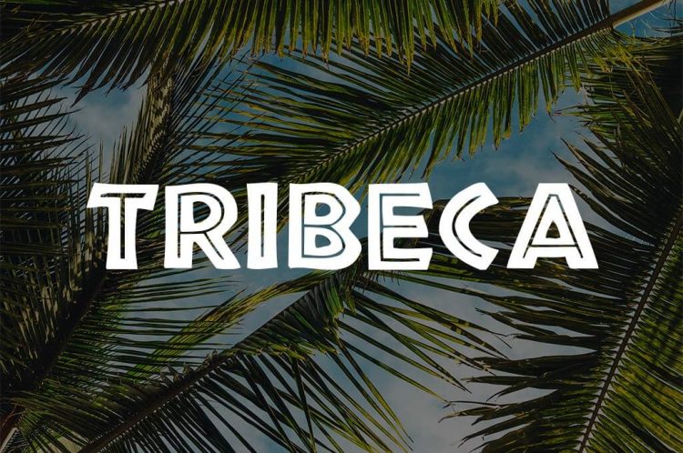 30+ Best Hawaii Fonts ? For Vacation Designs (Free & Paid) - The Designest