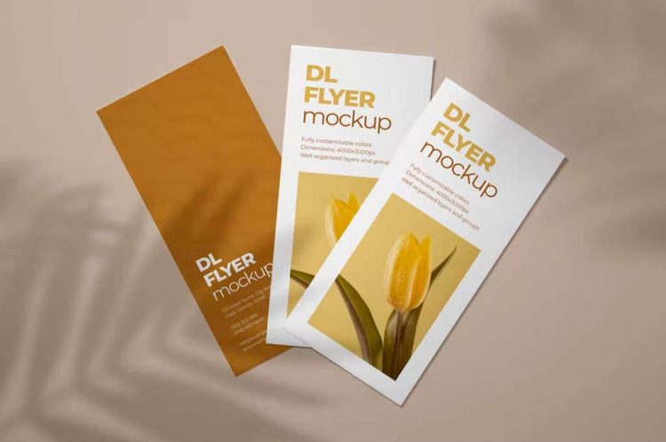 50+ Best Flyer Mockup Templates — The Designest